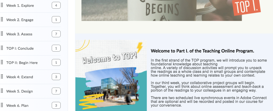 Learning Module: Developing Online Courses - Example Course Structures ...